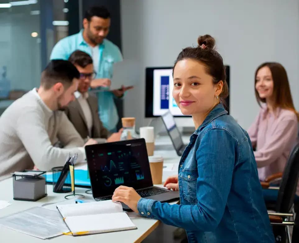 Professional IT Consultant for Your Business - Baseel Partners LLP.