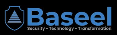 Professional IT Consultant for Your Business - Baseel Partners LLP.